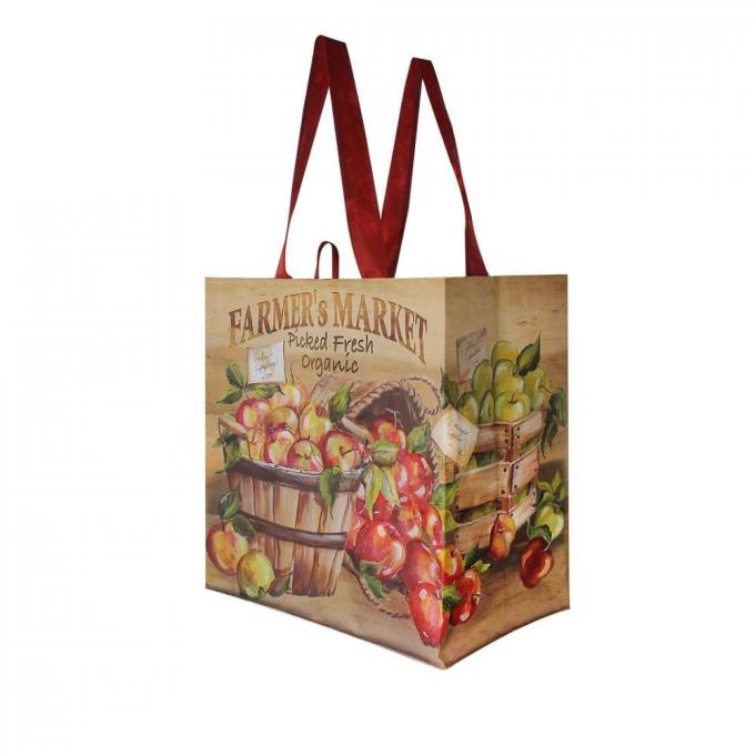 Biodegradable Promotional Wholesale Eco Friendly Foldable Reusable Custom Printed Advertising Shopping Gift Bag W Cut Nonwoven D Cut Vest Cheap Non-Woven Bag